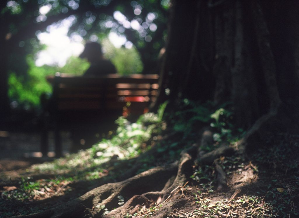 Film stock review: Kodak EKTACHROME 100VS (E100VS) color slide film ...