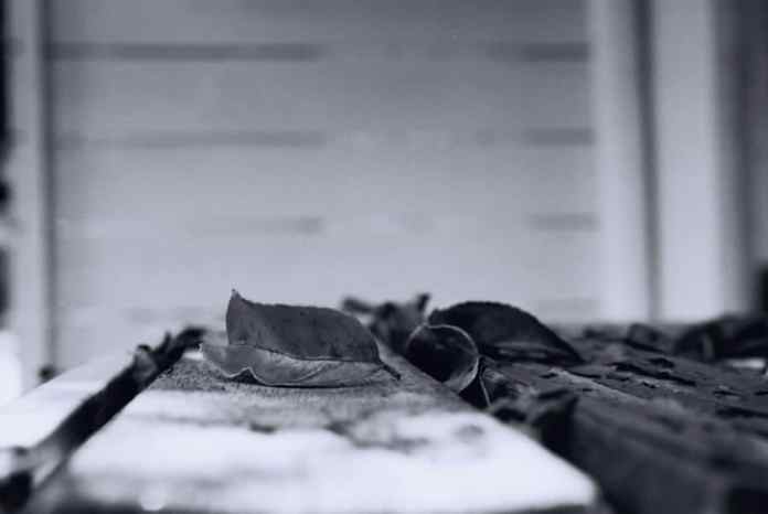 Film stock review: Efke KB-25 in 35mm format | EMULSIVE