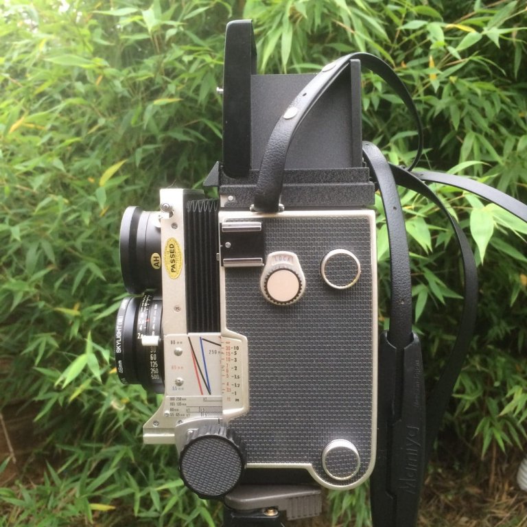 Camera review: Mamiya C220 Professional TLR - by Ian Bartlett | EMULSIVE