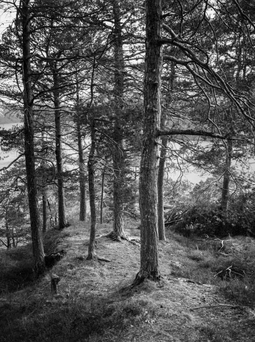 Camera review: Fuji GA645Zi - EMULSIVE