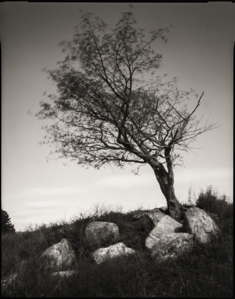 5 Frames... With Fomapan 100 Classic (EI 100 / 4x5 format / DIY Pinhole ...
