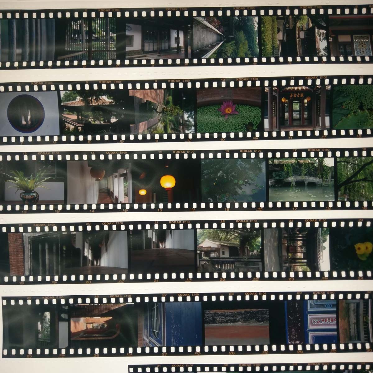 Film stock review: Kodak EKTACHROME E100 - shot at EI 100, 200, 400 ...
