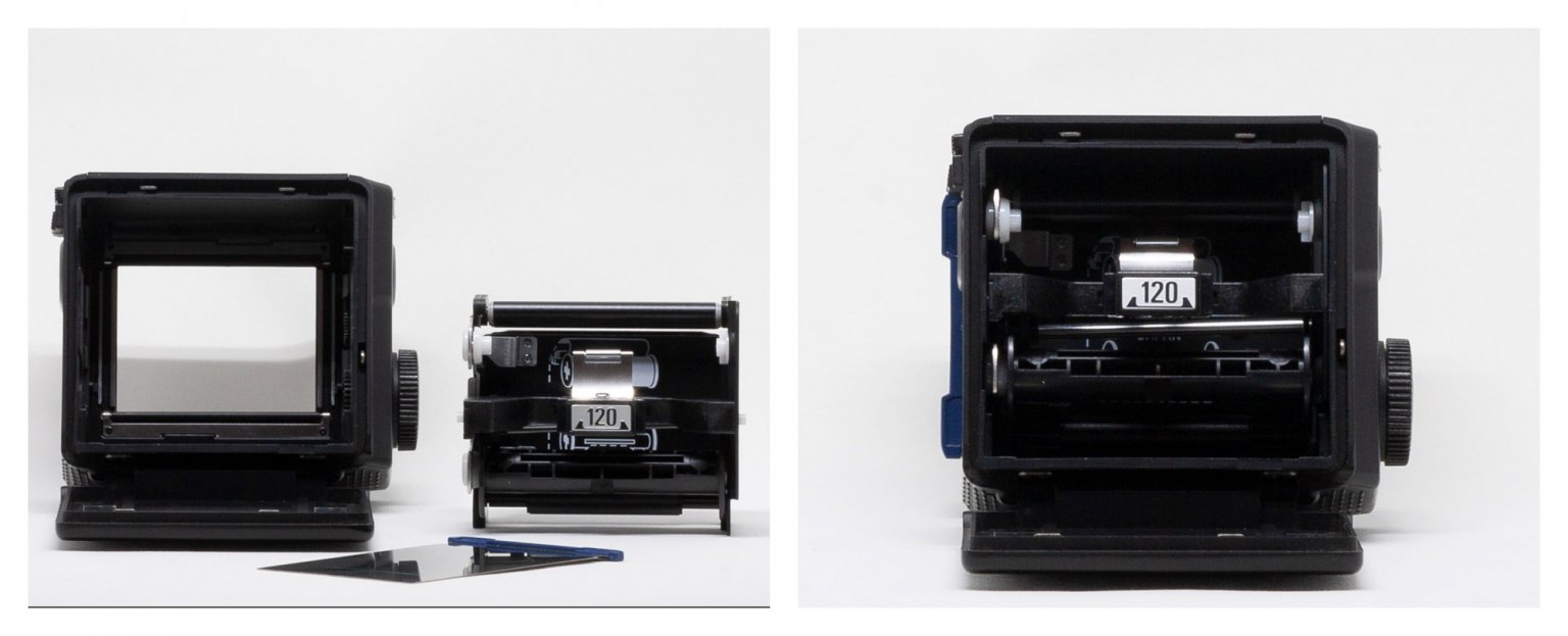 Camera Review: Mamiya 645 Pro, plastic fantastic? - Kikie Wilkins ...