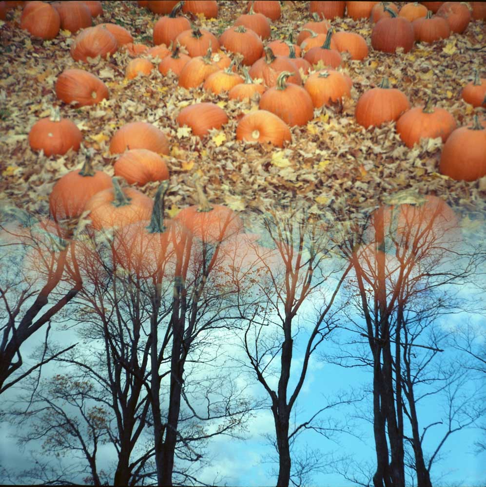 EMULSIVE interview #198: I am Angela Solis and this is why I shoot film ...