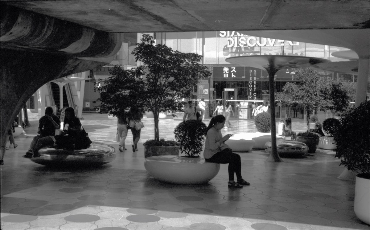 Two out of three. A look at three bellows cameras from the 1950s: Agfa ...