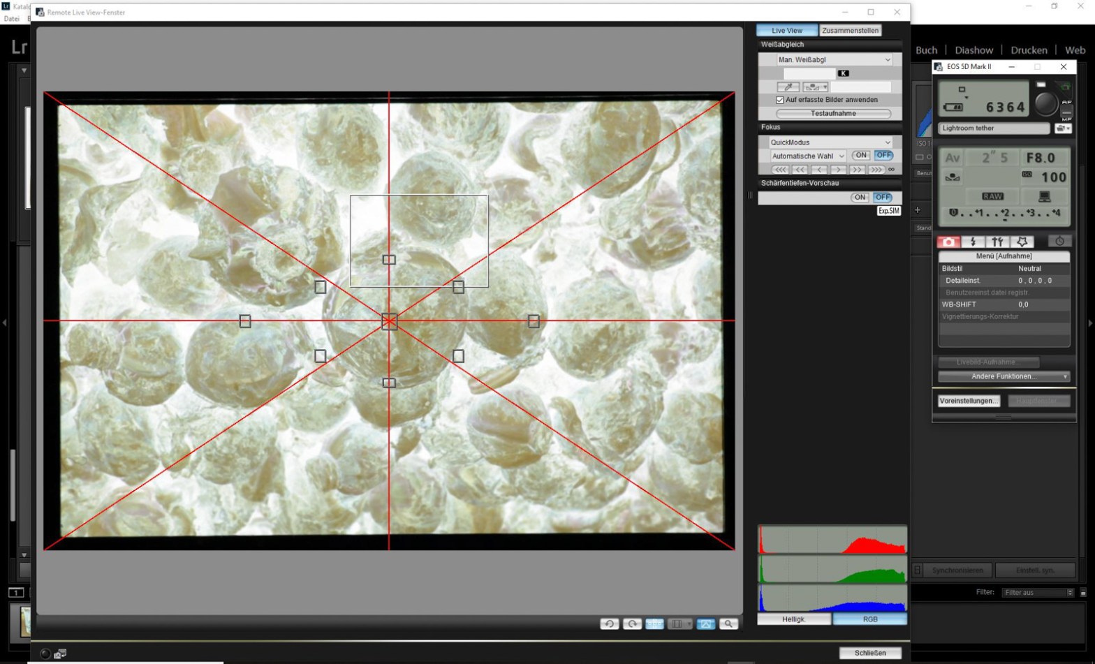 Color drama: Negative Lab Pro v2... Finding the right workflow for ...