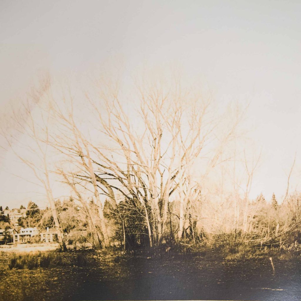 A practical guide to... Lith printing - EMULSIVE