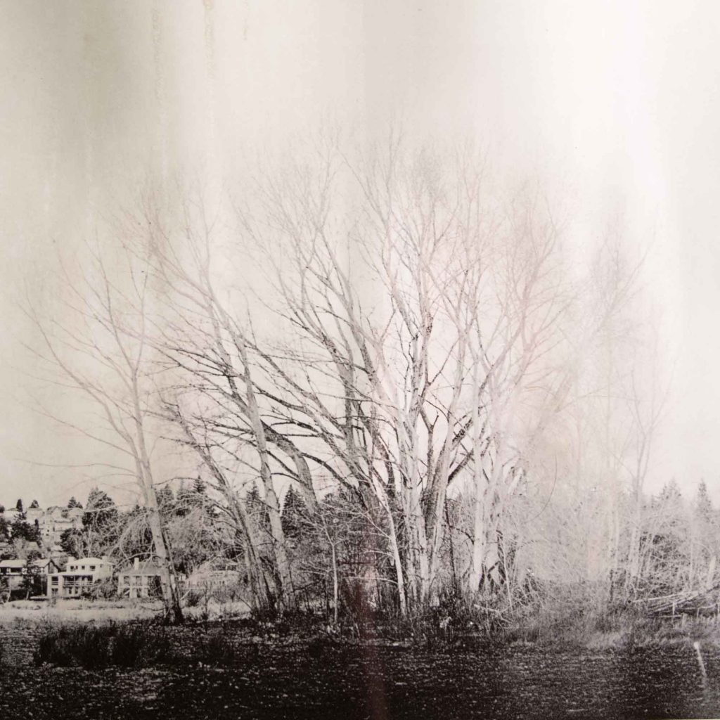 A practical guide to... Lith printing - EMULSIVE