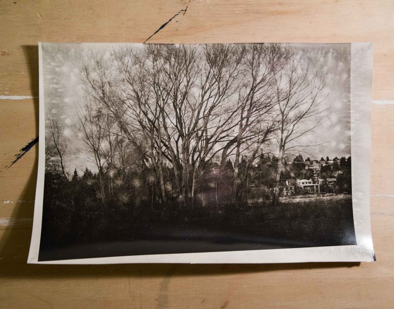 A practical guide to... Lith printing - EMULSIVE