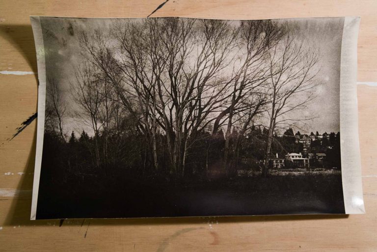 A practical guide to... Lith printing - EMULSIVE