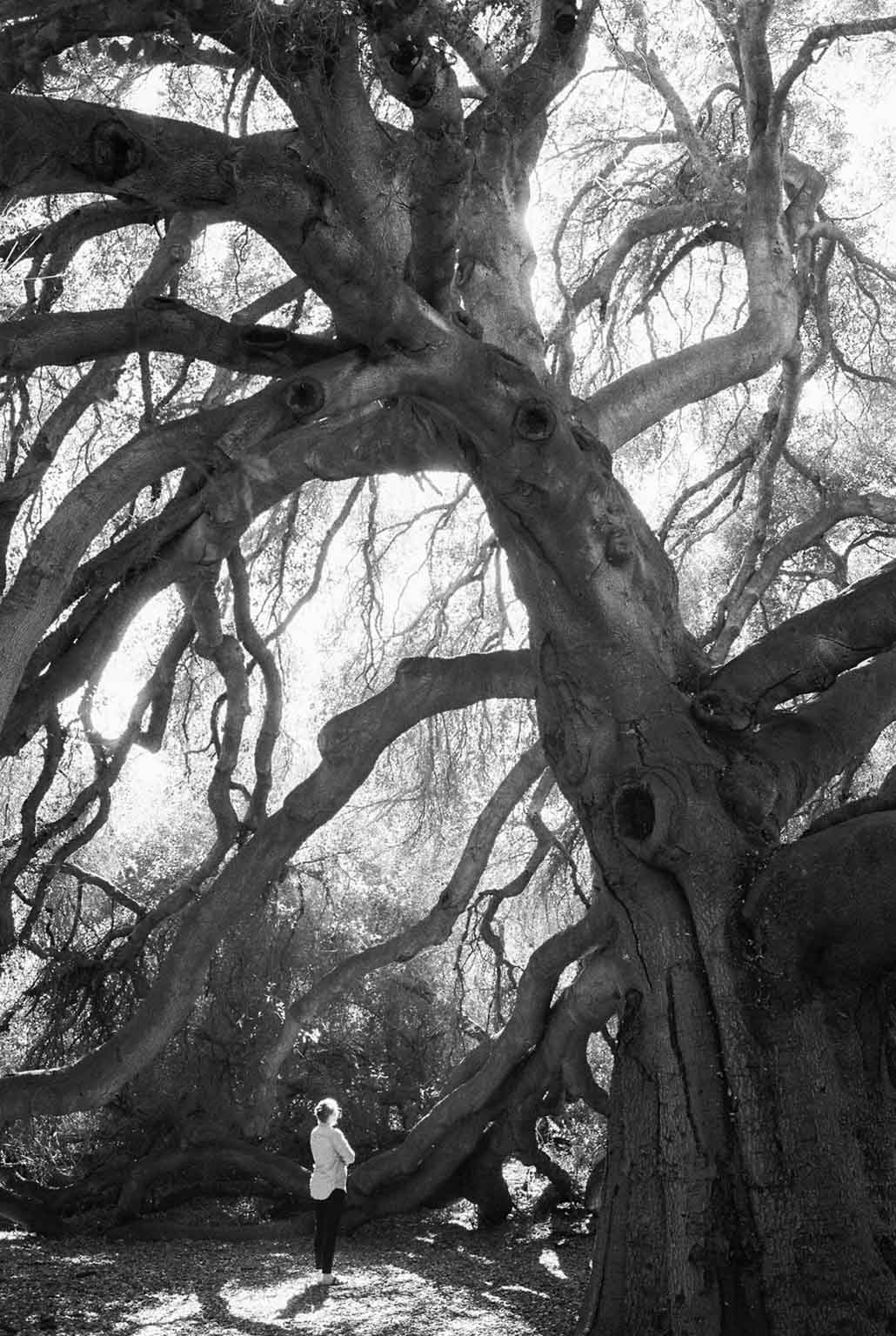 EMULSIVE Interview #200: I am Jonathan Canlas and this is why I shoot film - EMULSIVE