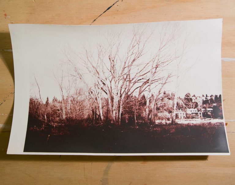 A practical guide to... Lith printing - EMULSIVE