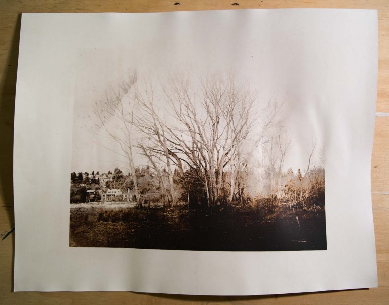 A practical guide to... Lith printing - EMULSIVE