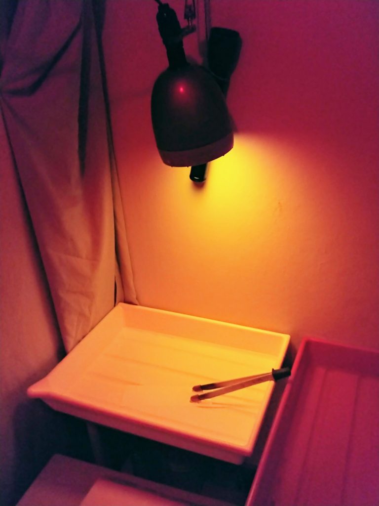 A practical guide to... Lith printing - EMULSIVE