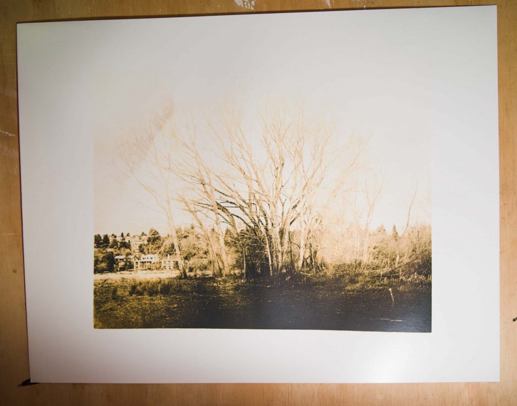 A practical guide to... Lith printing - EMULSIVE