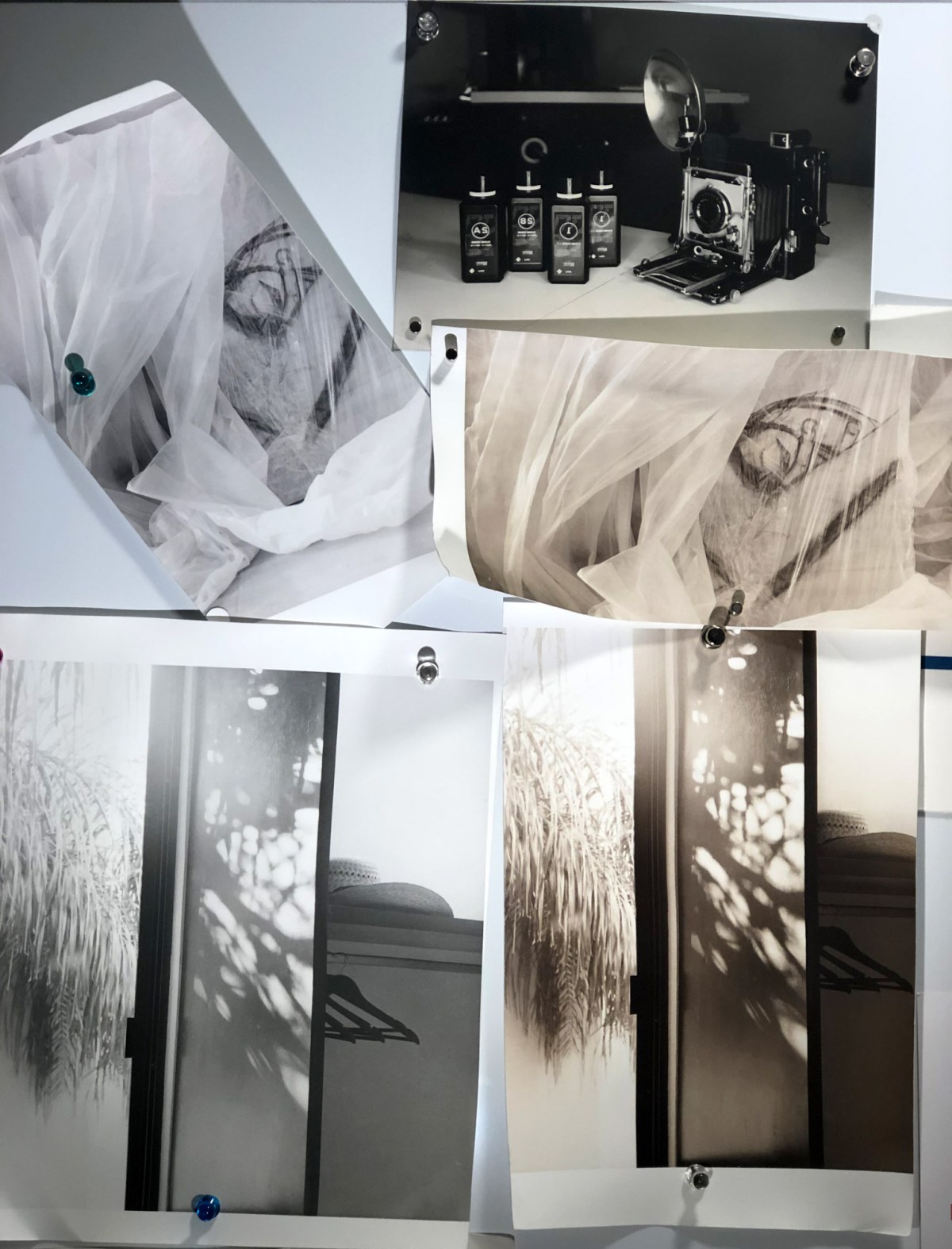 EMULSIVE Interview #203: I am Lina Bessonova and this is why I shoot ...