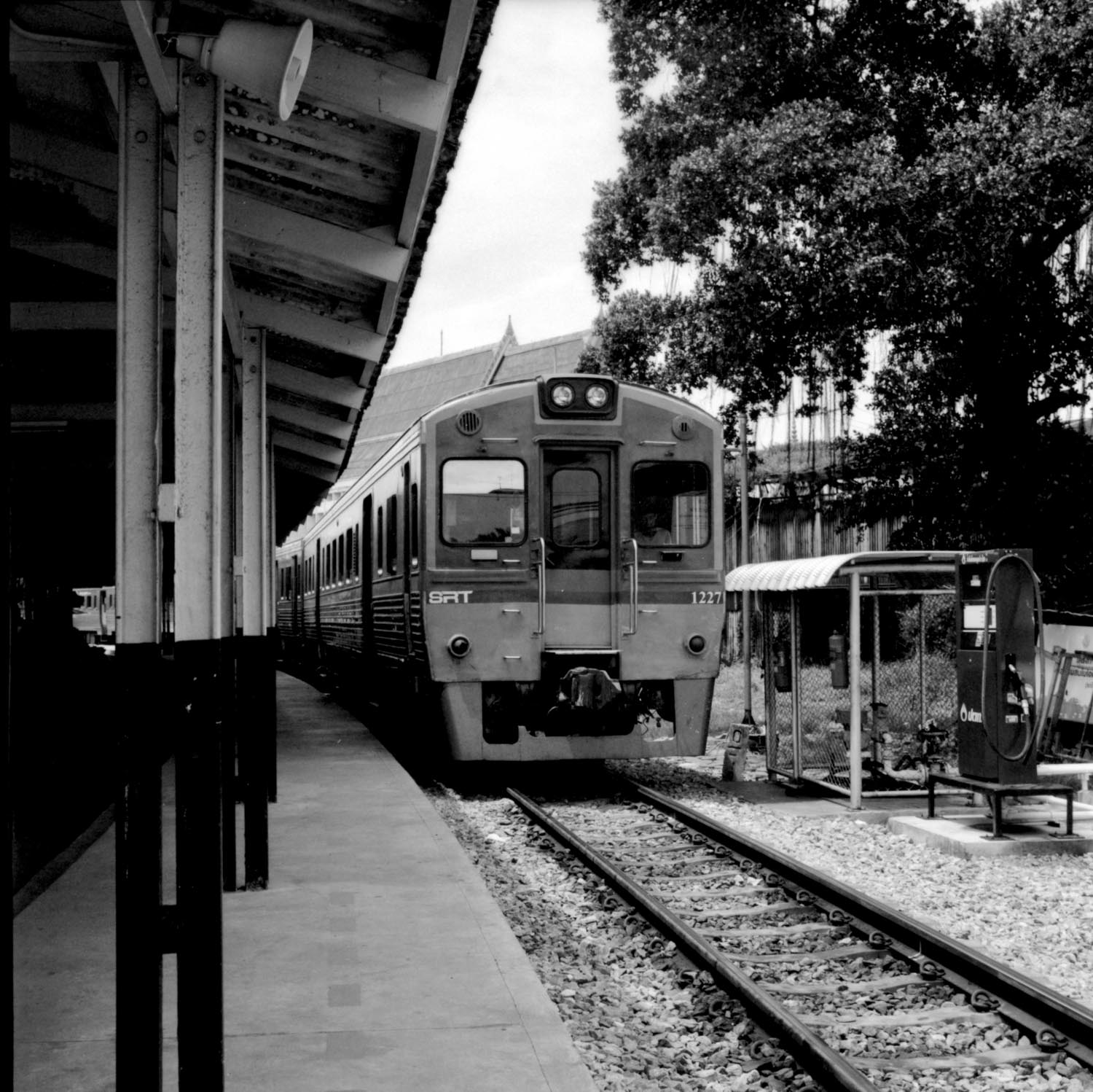 5 Frames... With Kosmo Foto Mono 100 (EI 100 / 120 format / Hasselblad ...