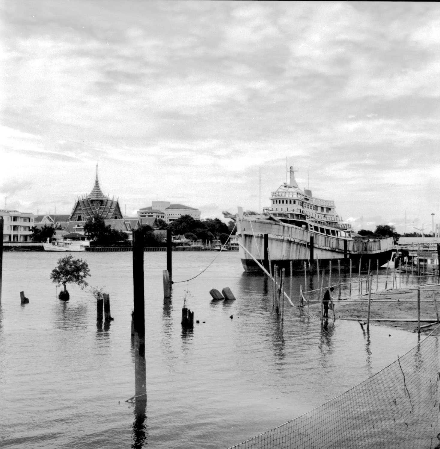 5 Frames... With Kosmo Foto Mono 100 (EI 100 / 120 format / Hasselblad ...