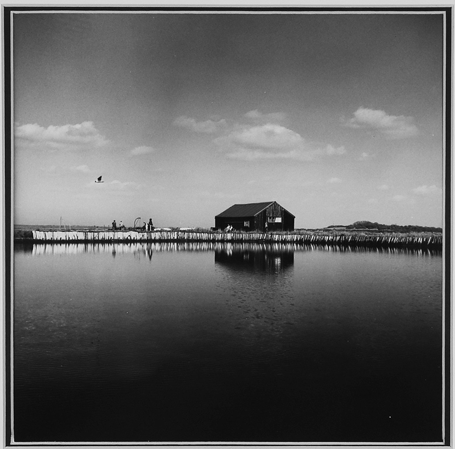Add to queue: Interviewing Roger Lowe (Shoot film like a Boss) - EMULSIVE