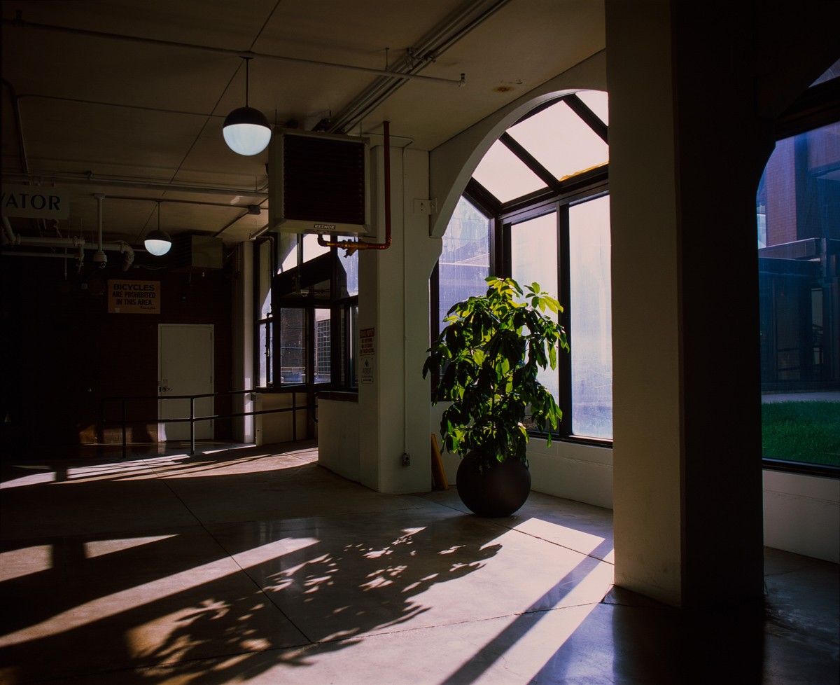 Film stock review: Fujifilm FUJICHROME Velvia 50 Professional (RVP 50 ...