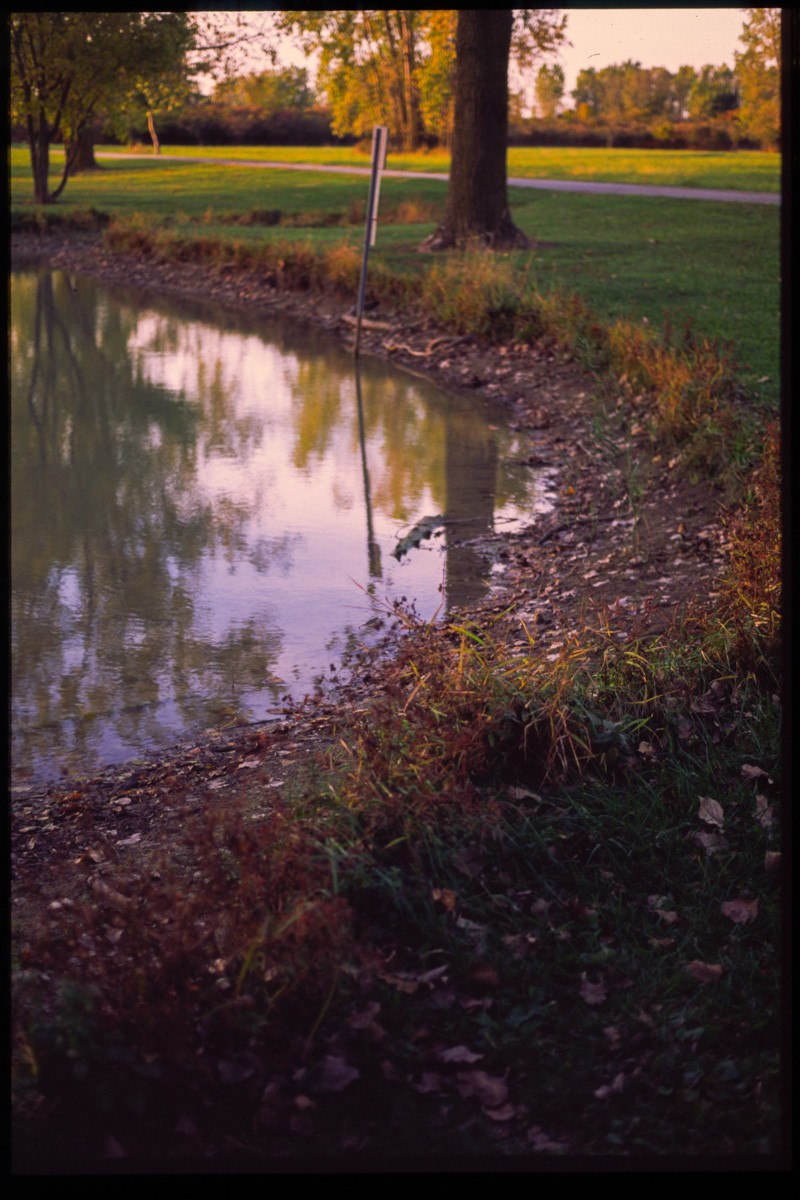 Film stock review: Fujifilm FUJICHROME Velvia 50 Professional (RVP 50 ...