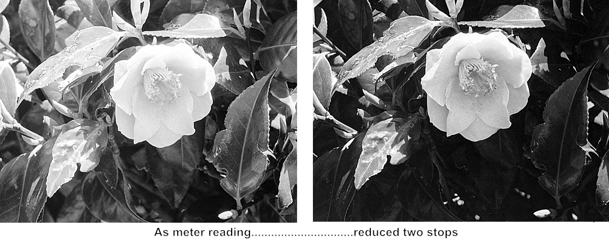 What is exposure? How to use light meters in film photography - EMULSIVE