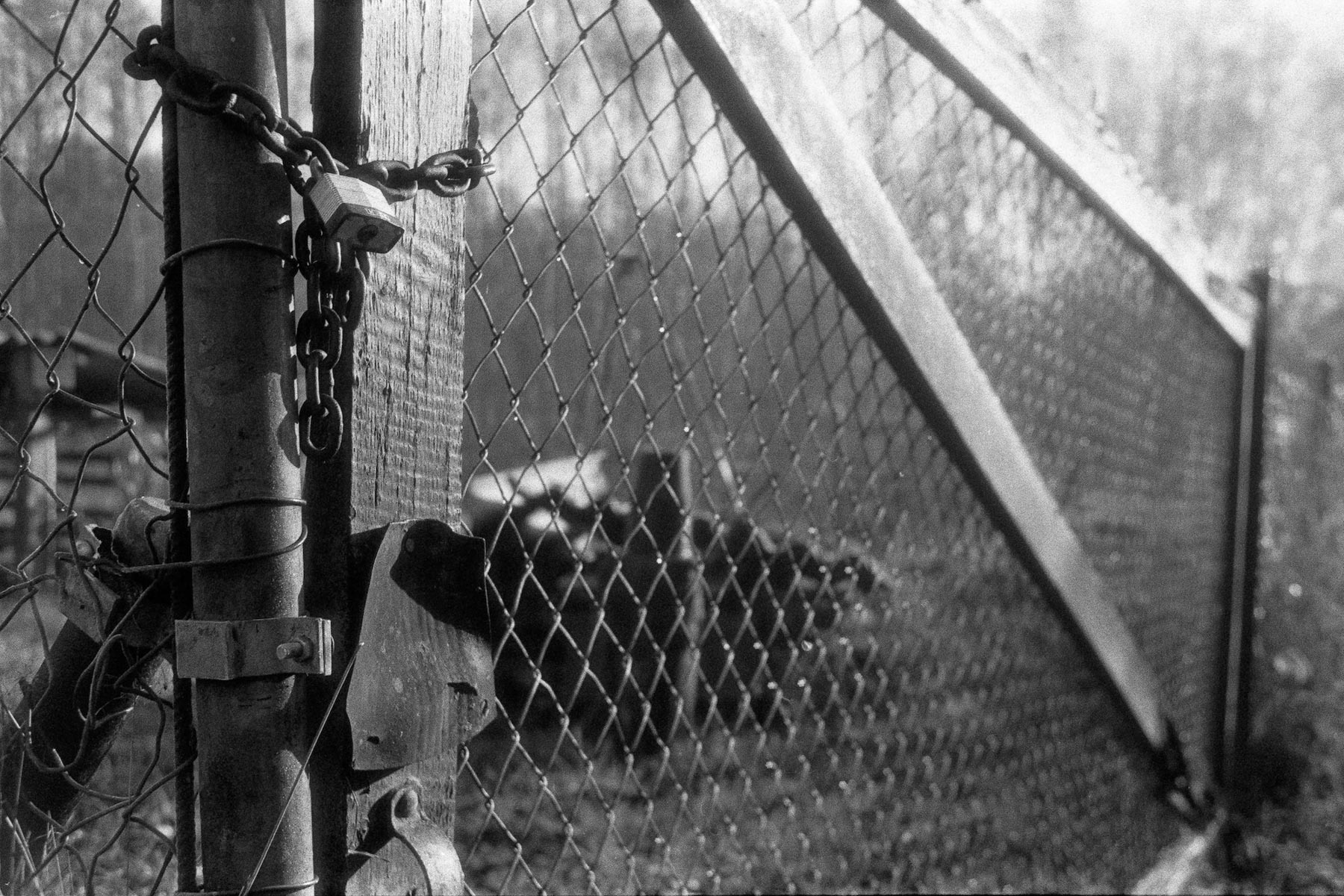 5 Frames... With Film Washi F (EI 100 / 35mm format / Rollei 35TE ...