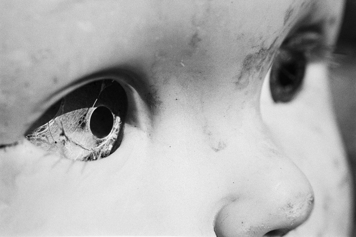 A guide to Simple, effective and CHEAP macro photography - EMULSIVE