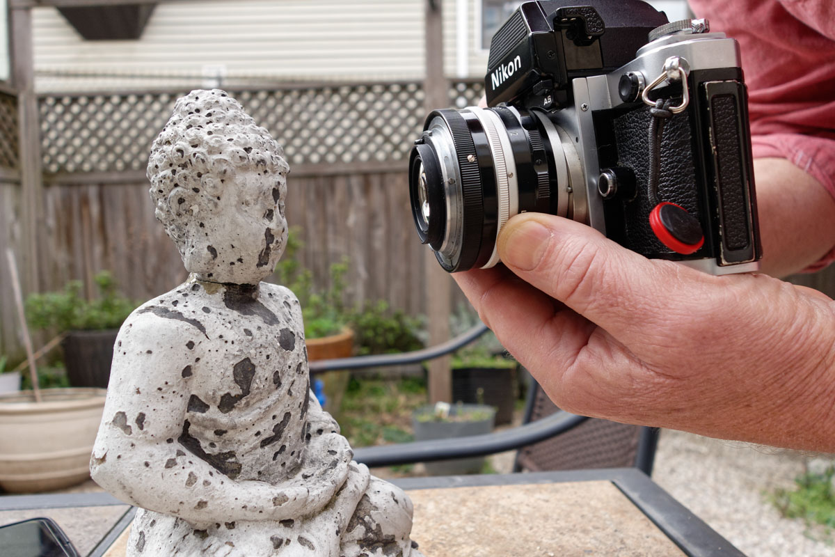 A guide to Simple, effective and CHEAP macro photography - EMULSIVE