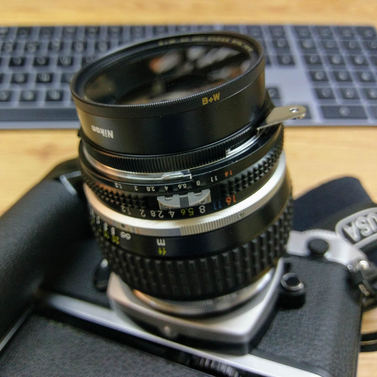 A guide to Simple, effective and CHEAP macro photography - EMULSIVE