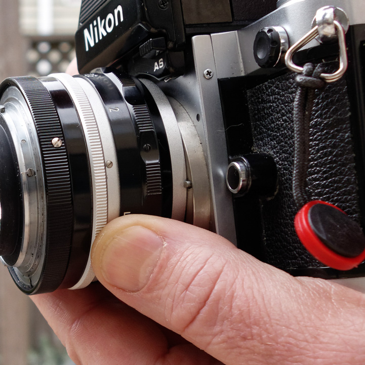 A guide to Simple, effective and CHEAP macro photography - EMULSIVE