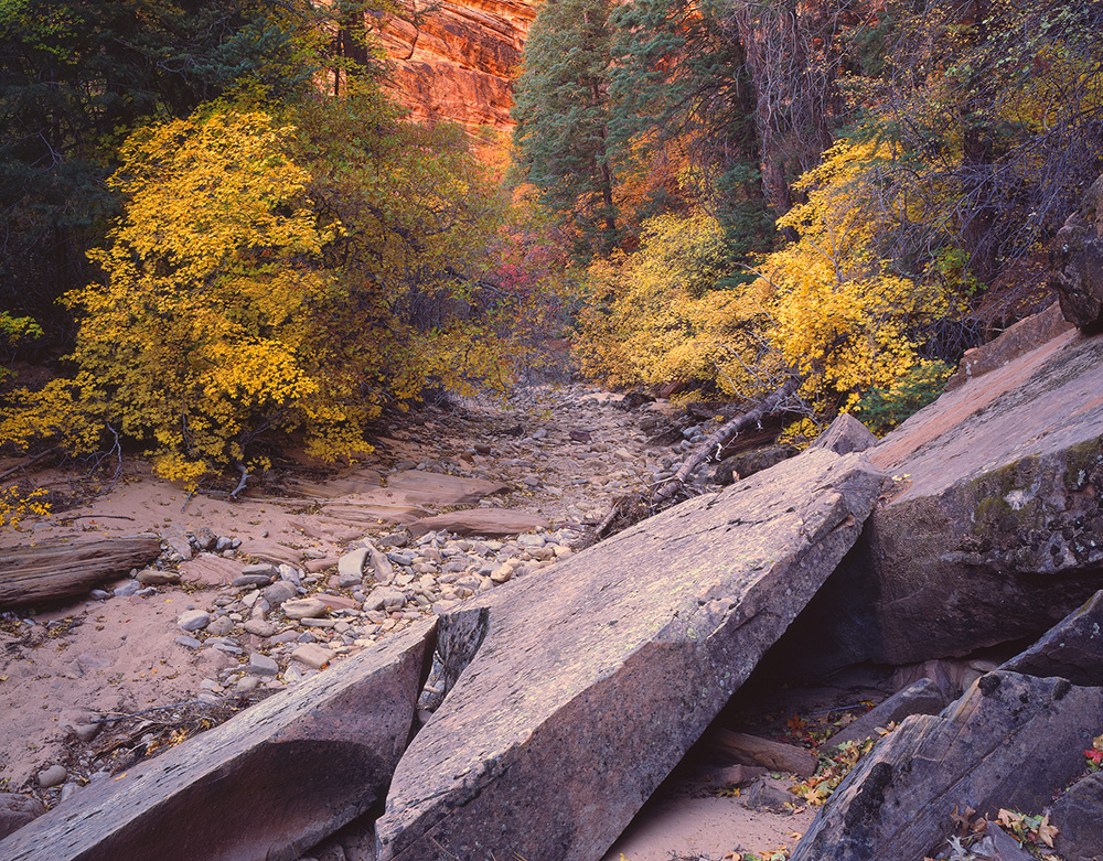 Add to queue: interviewing Alan Brock - EMULSIVE