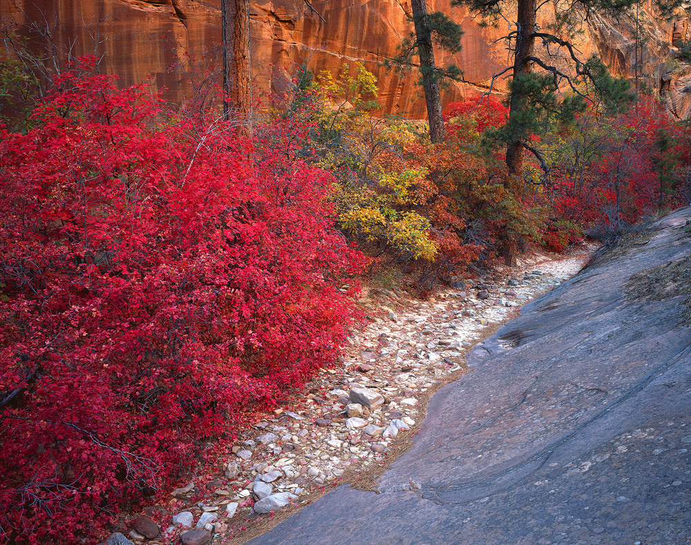 Add to queue: interviewing Alan Brock - EMULSIVE