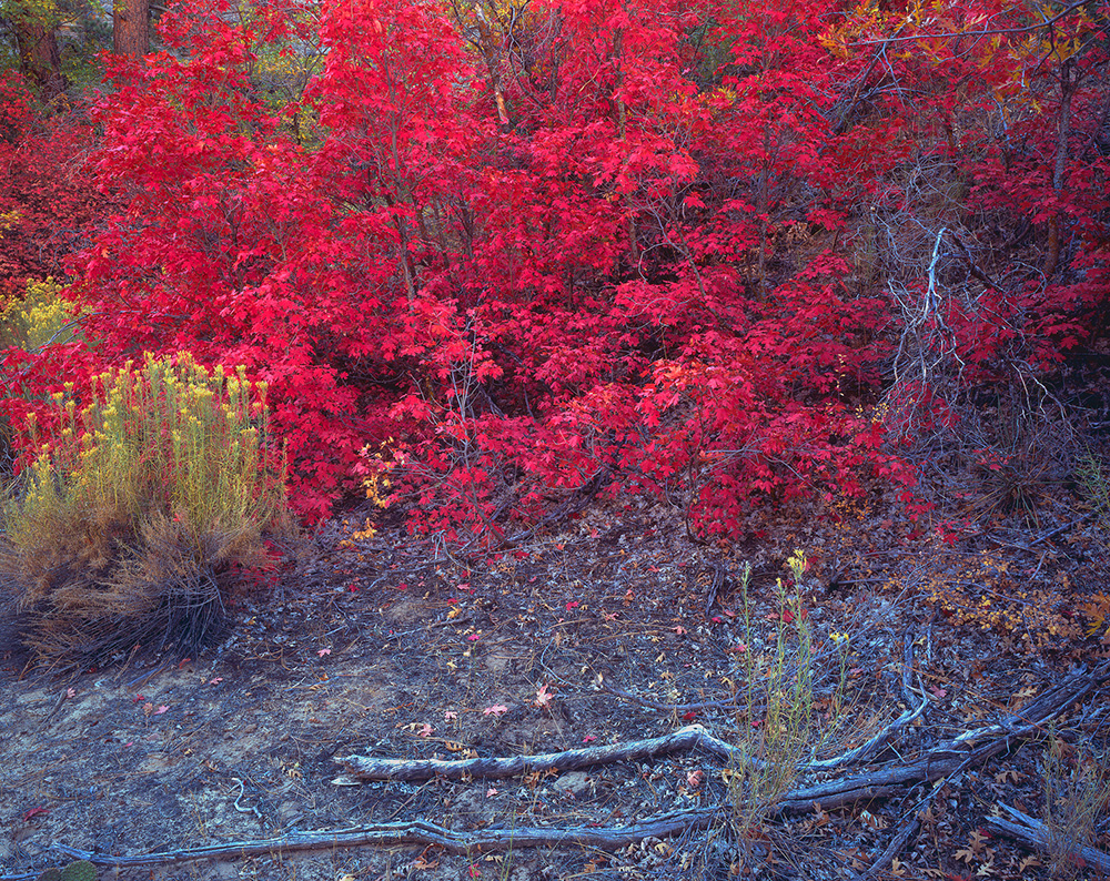 Add to queue: interviewing Alan Brock - EMULSIVE