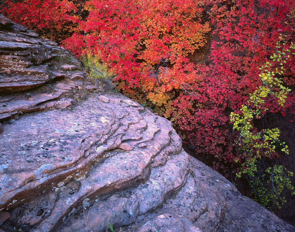 Add to queue: interviewing Alan Brock - EMULSIVE