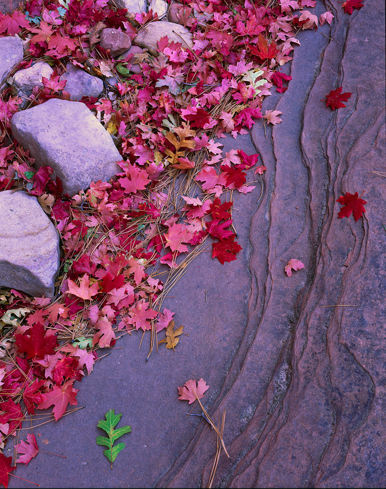 Add to queue: interviewing Alan Brock - EMULSIVE