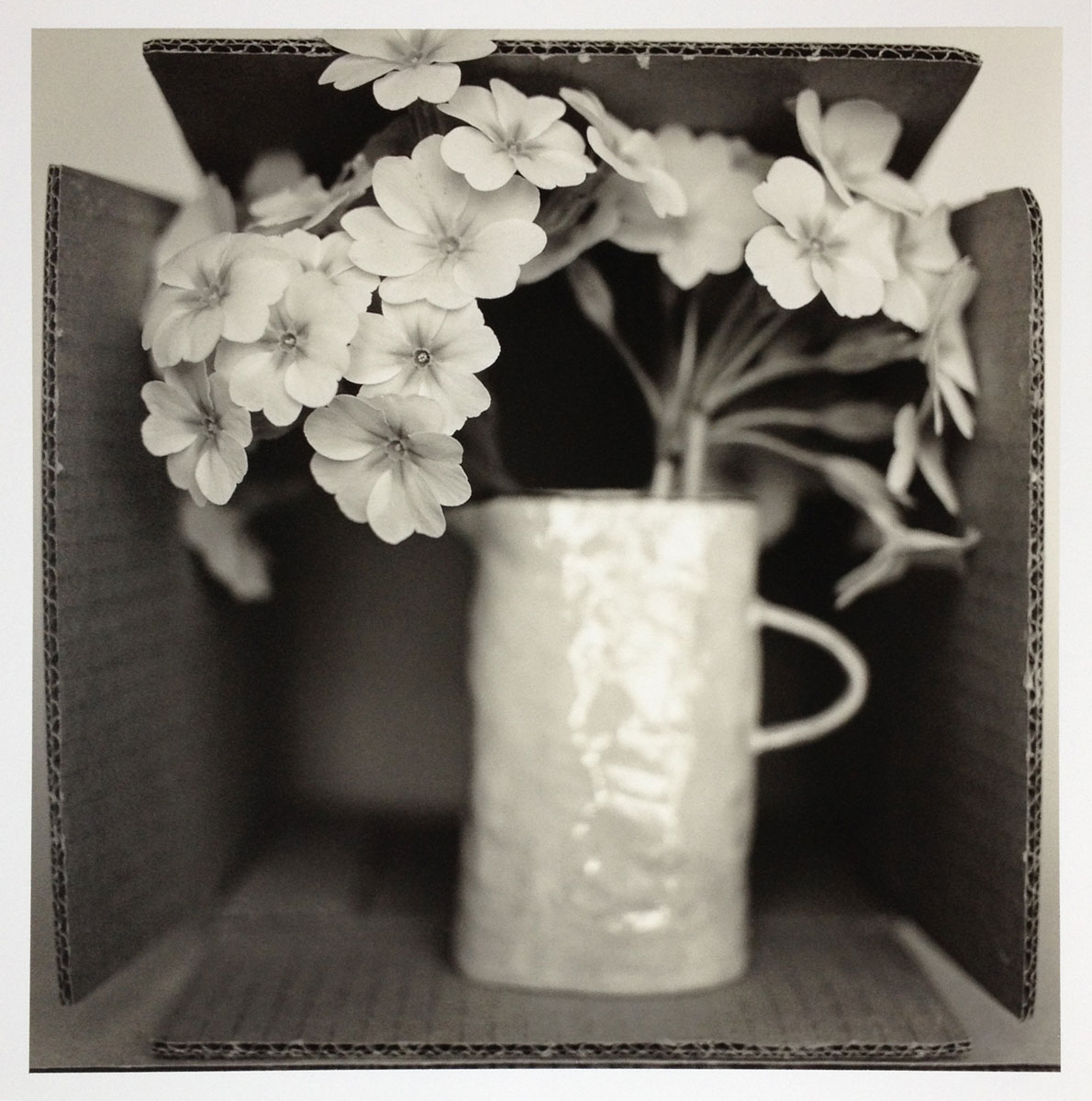 Stuck at home? The "Stuck At Home Photography" blog has you and your ...