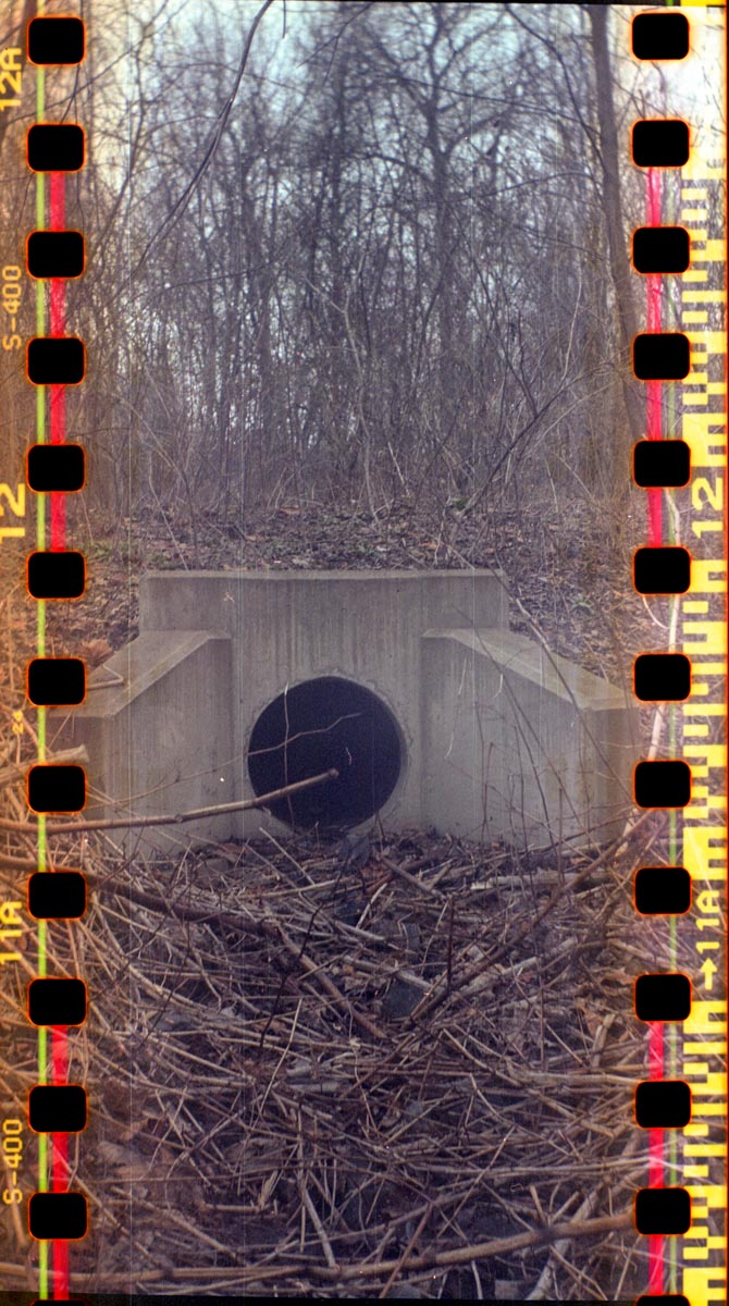 5 Frames... Of 35mm Fujicolor Superia X-TRA 400 in a 620 format TLR (EI ...