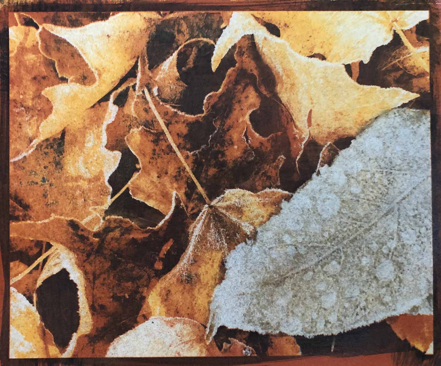 Results WILL vary: An introduction to the endless creative expression ...