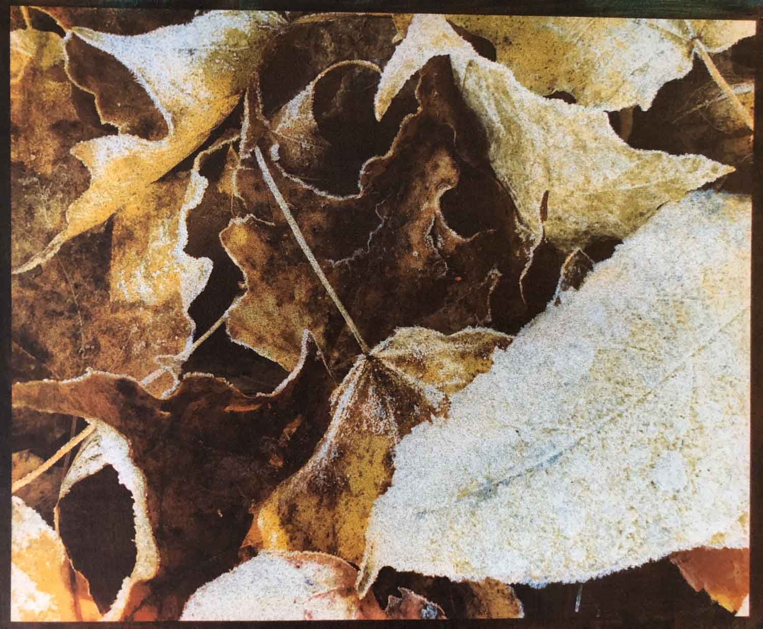 Results WILL vary: An introduction to the endless creative expression ...