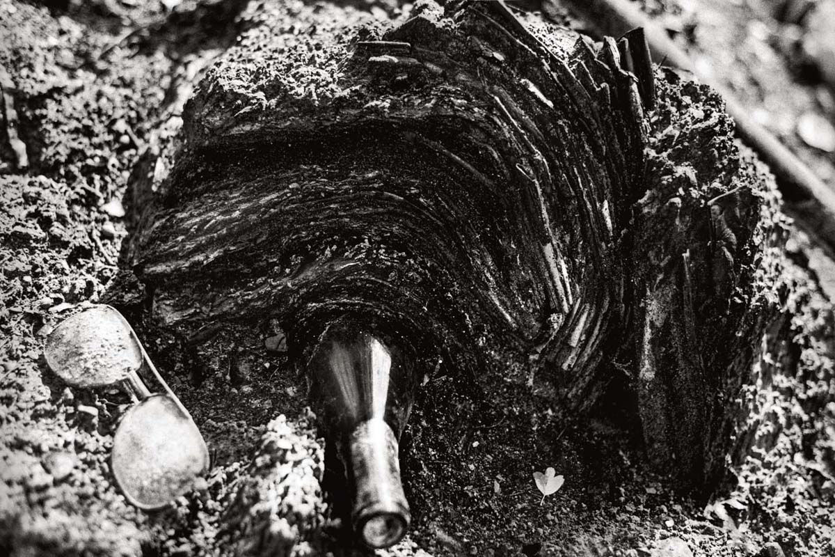 Featured project: Human Remains / Restes humains - EMULSIVE