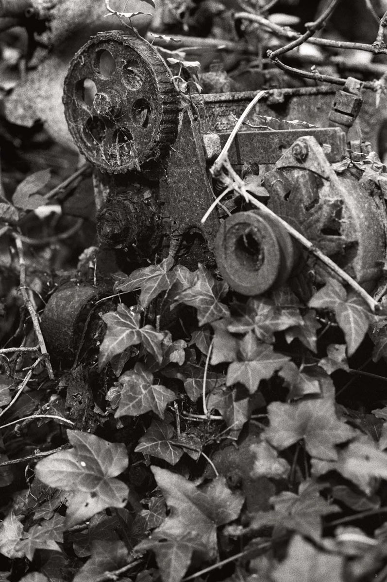 Featured project: Human Remains / Restes humains - EMULSIVE