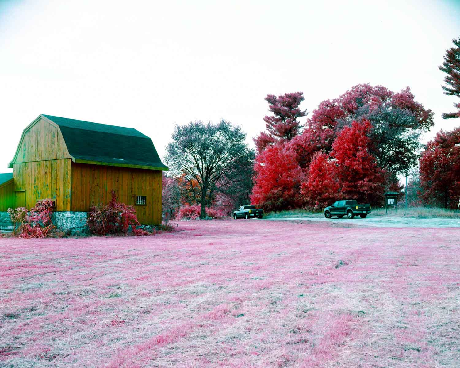 In conversation with: Tim Gilbert of Stearman Press - EMULSIVE