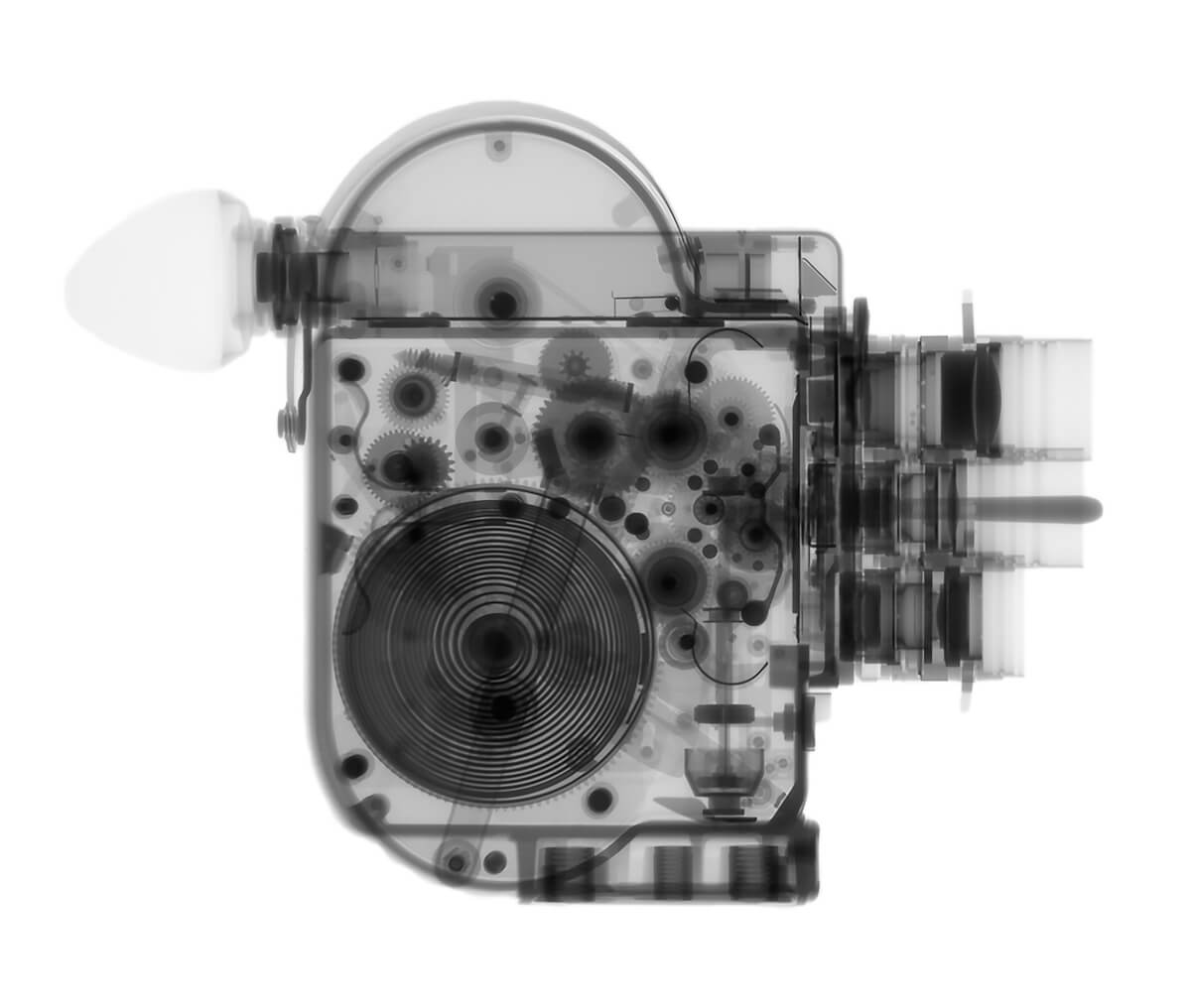 The evolution of the camera as seen through X-ray imaging - EMULSIVE