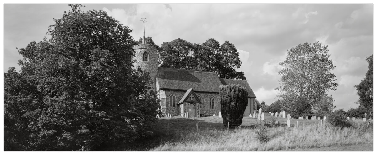 5 frames... With 11-year expired Era Pan 100 on a Richard Ritter 7x17 ...