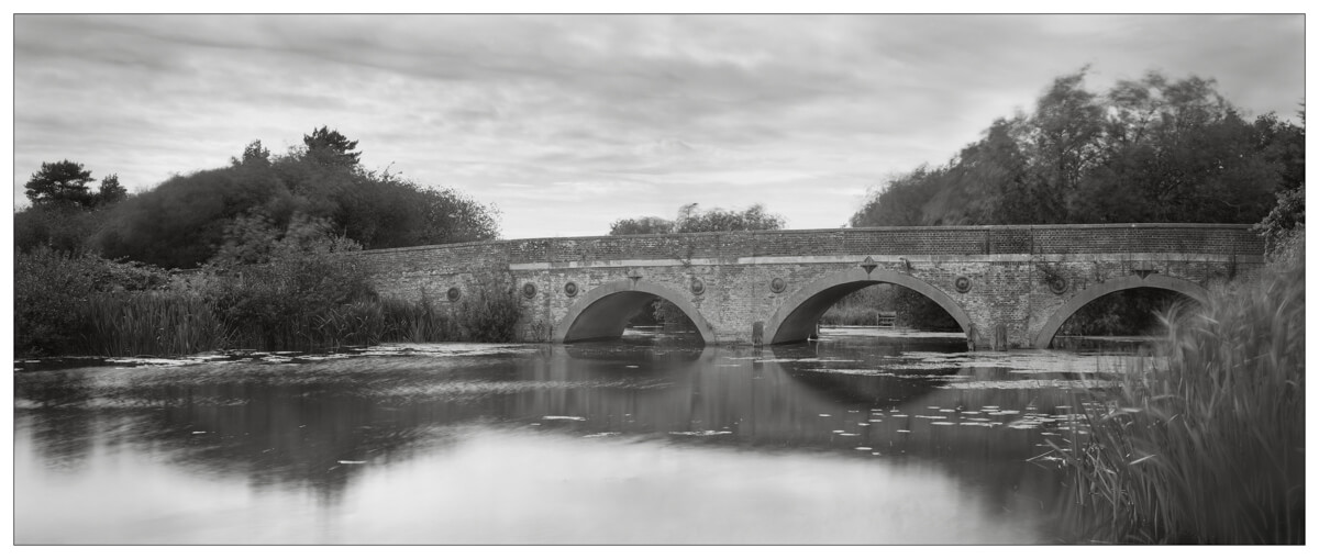 5 frames... With 11-year expired Era Pan 100 on a Richard Ritter 7x17 ...