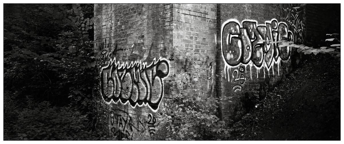 5 frames... With 11-year expired Era Pan 100 on a Richard Ritter 7x17 ...