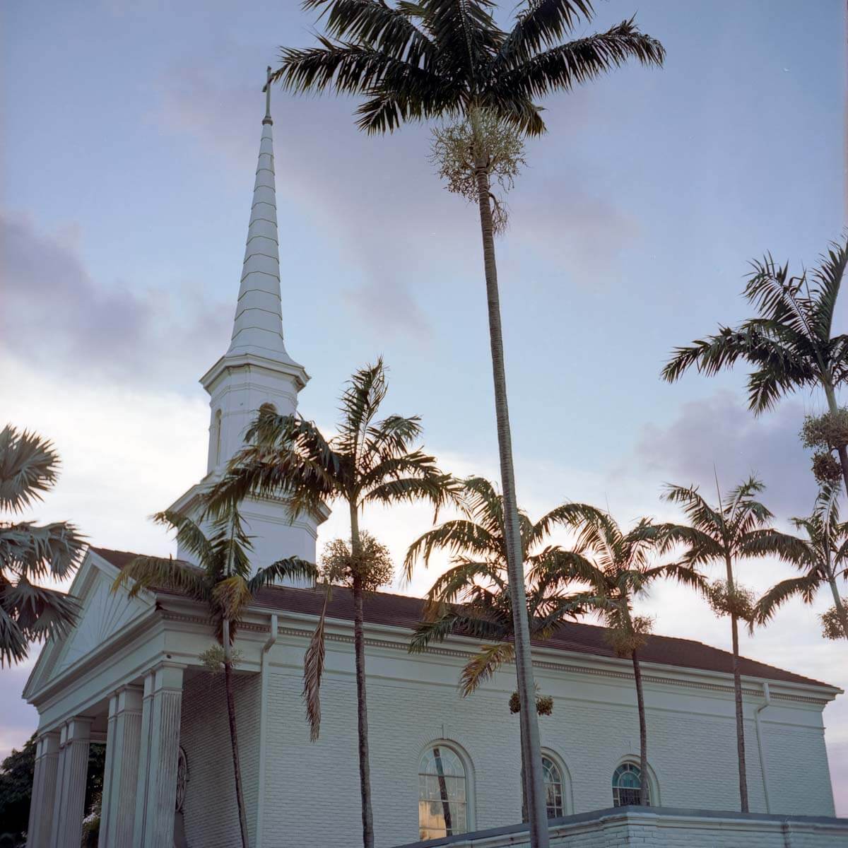 5 Frames... With a new-to-me Seagull 4A-109 TLR (Kodak Portra 400 / 120 ...