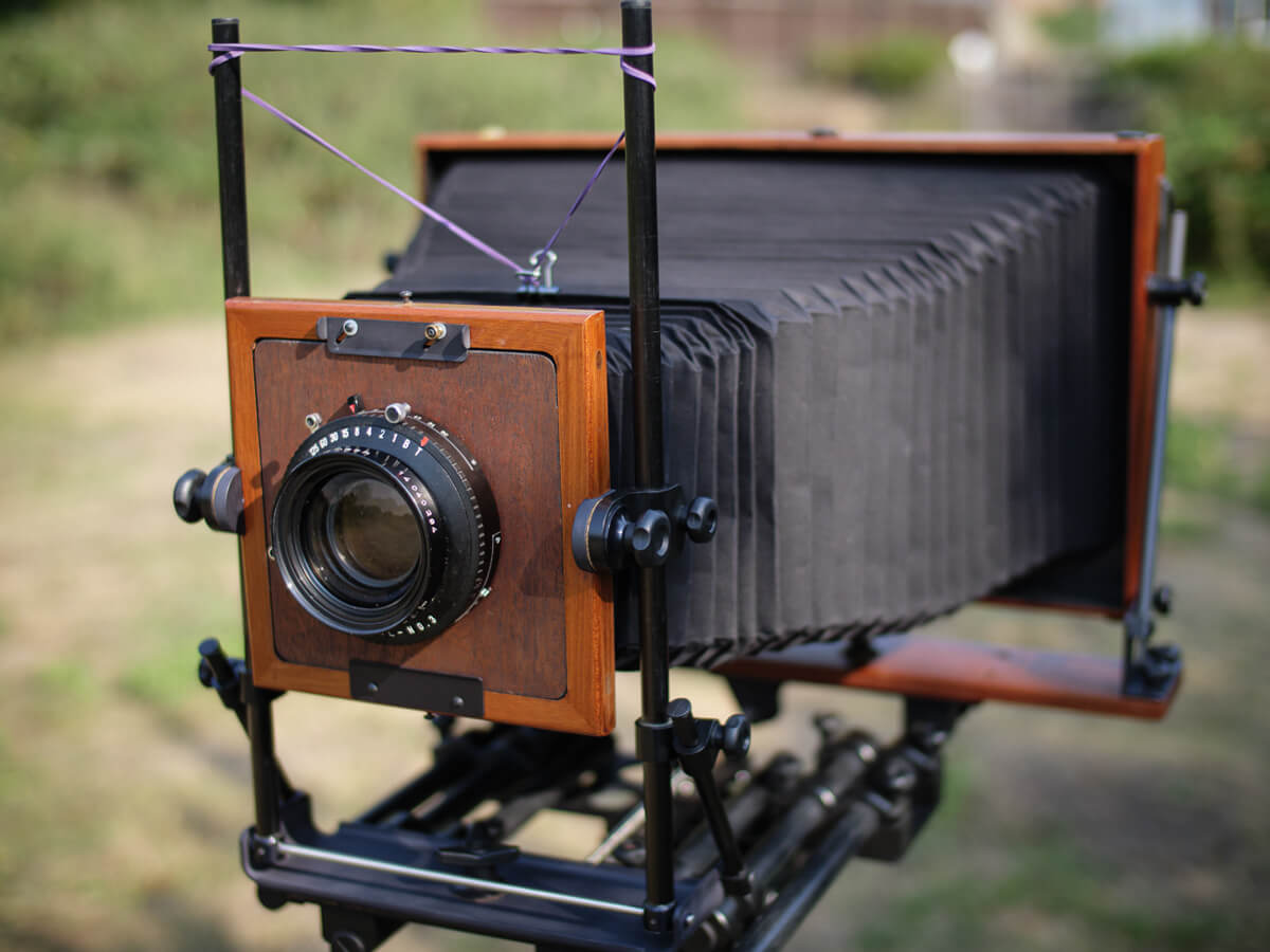 5 frames... With 11-year expired Era Pan 100 on a Richard Ritter 7x17 ...