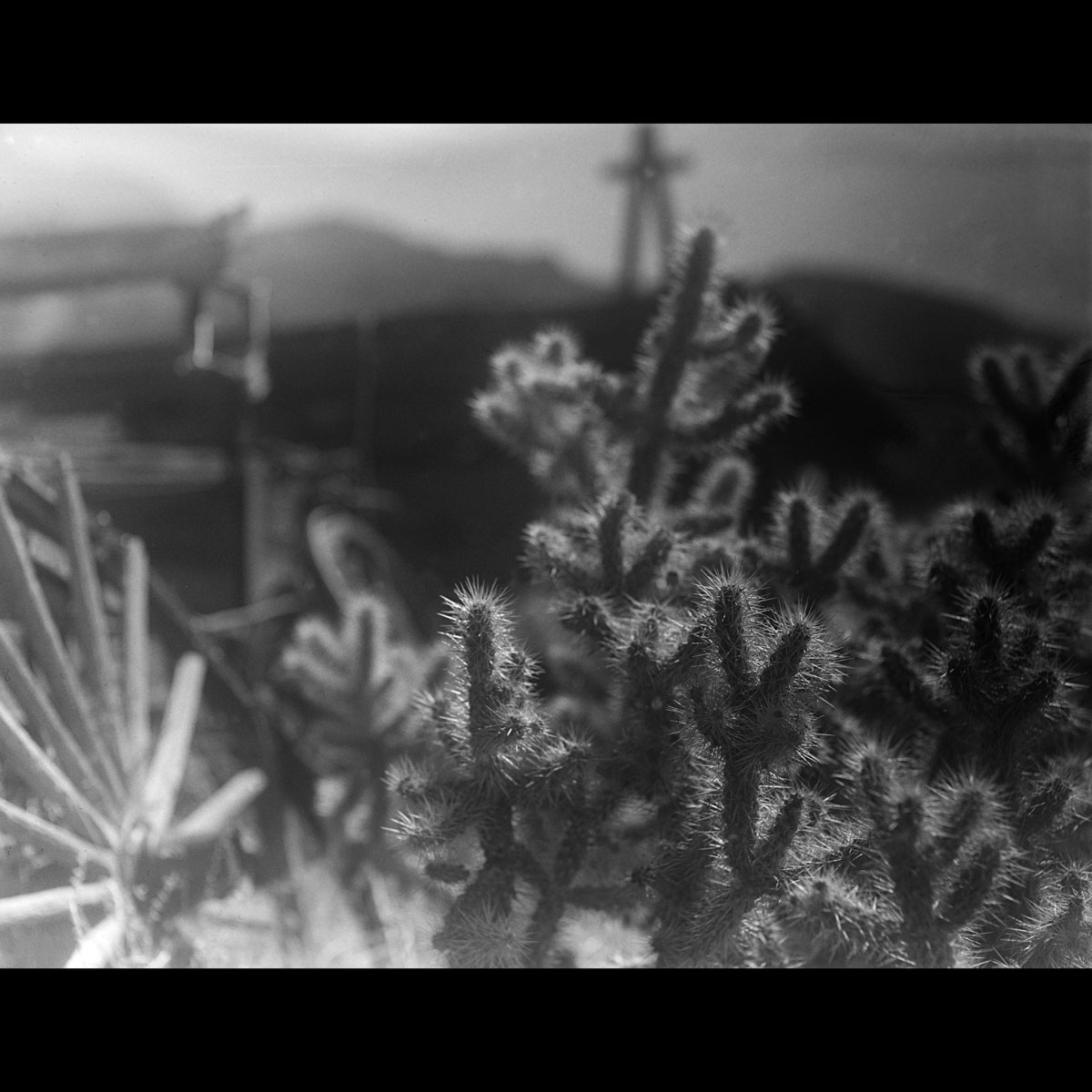 An end of year photo competition by the David Hancock YouTube Channel ...